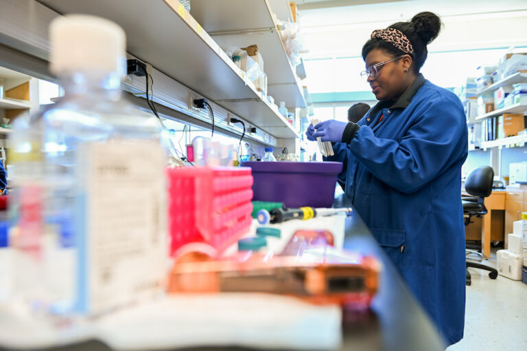 Katherine Gallagher Umich Lab